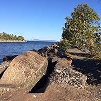 We're All in This Together by Amy Jones | Goodreads