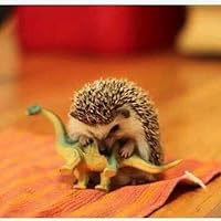 The Littles and the Great Halloween Scare by John Lawrence Peterson ...