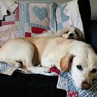 A Shade of Doubt (A Shade of Vampire, #12) by Bella Forrest | Goodreads