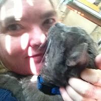 Kitty Raises Hell (Kitty Norville, #6) by Carrie Vaughn | Goodreads