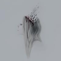 Dark Heir (Dark Rise, #2) by C.S. Pacat | Goodreads