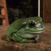 Walking with the Seasons in Kakadu by Diane Lucas | Goodreads