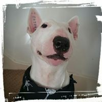 A Door Into Time by Shawn Inmon | Goodreads