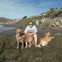 The Diary of Ellen Rimbauer: My Life at Rose Red by Joyce Reardon ...