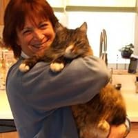 Bloodline (Witch Cat Mystery #1) by Vicki Vass | Goodreads