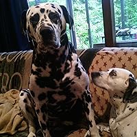 Computer Chess Compendium by David N.L. Levy | Goodreads