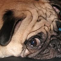 Clara: The Early Years: The Story of the Pug Who Ruled My Life by Margo ...