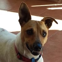 Hellbound With You by KazzenlX | Goodreads