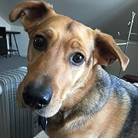 Black Beauty: A History and a Celebration by Ben Arogundade | Goodreads