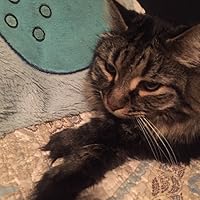 Rakesfall by Vajra Chandrasekera | Goodreads