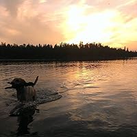 The Bug Girl: A True Story by Sophia Spencer | Goodreads