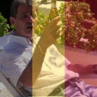 Fatal Demand (Jess Kimball Thriller, #2) by Diane Capri | Goodreads