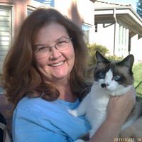 Luna Lola: The Moon Wolf by Park Kara | Goodreads