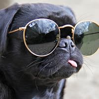 On Call: A Doctor's Days and Nights in Residency by Emily R. Transue ...