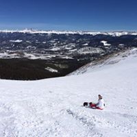 The Unlikely Story of a Pig in the City by Jodi Kendall | Goodreads