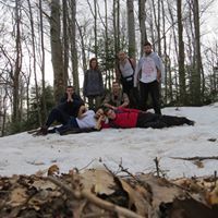 Postural Disorders and Musculoskeletal Dysfunction E-Book: Diagnosis ...