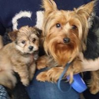 1888: London Murders in the Year of the Ripper by Peter Stubley | Goodreads