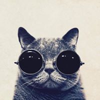 Think Like a Programmer: An Introduction to Creative Problem Solving by ...