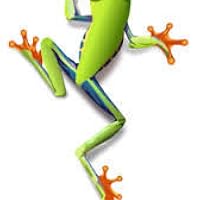 Blood Fae (Dark Fae Kings, #4) by Meg Xuemei X | Goodreads