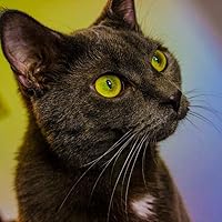 Undead and Unstable (Undead, #11) by MaryJanice Davidson | Goodreads