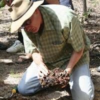 Pigs and Honey by Jeanie Adams | Goodreads