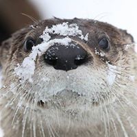 The Biopunk Revelation: Omnibus Books 1-3 ( by Marcus Sloss | Goodreads