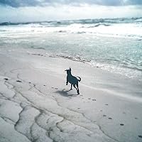 The Ticket Out by Helen Knode | Goodreads