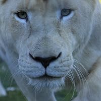 I Hardly Ever Wash My Hands: The Other Side of OCD by J.J. Keeler ...