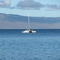 Small Vices (Spenser, #24) by Robert B. Parker | Goodreads