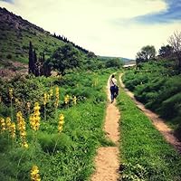 Whalesong: The True Story of the Musician Who Talked to Orcas by ...
