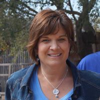 Comprehension Connections: Bridges to Strategic Reading by Tanny ...