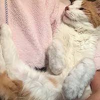 Absolute Truths (Starbridge, #6) by Susan Howatch | Goodreads