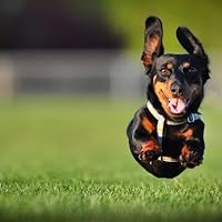 Slob by Ellen Potter | Goodreads