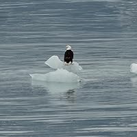 Stallion Gate by Martin Cruz Smith | Goodreads