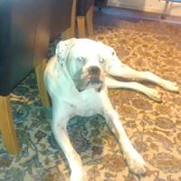 The Ysabel Kid (Floating Outfit, #1) by J.T. Edson | Goodreads