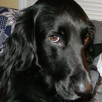 Vessel by Andrew J. Morgan | Goodreads