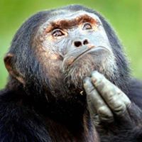 Designer's Guide to Wind Loading of Building Structures Part 1 ...