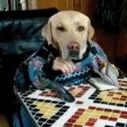 The Book of Lyrics by Alzbeth | Goodreads