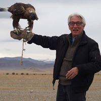 Puzzled to Death (Puzzle Lady, #3) by Parnell Hall | Goodreads