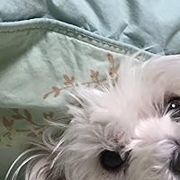 North: The New Nordic Cuisine of Iceland [A Cookbook] by Gunnar Karl ...