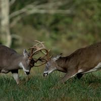 Caught by the Sea by Gary Paulsen | Goodreads