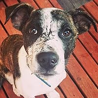 Charlotte's Creek by Therese Creed | Goodreads