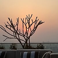 A Thousand Shards of Glass by Michael Katakis | Goodreads