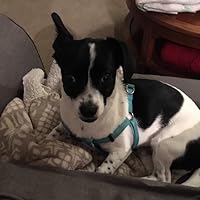 Criminal That I Am: A Memoir by Jennifer Ridha | Goodreads