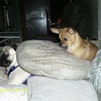 The Sinful Series (Sinful #1-3) by Emma Nichols | Goodreads