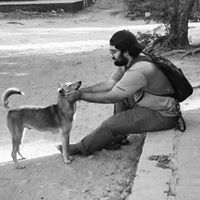 The Barn Owl's Wondrous Capers by Banerjee Sarnath | Goodreads