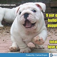 Transformers: Exiles by Alexander C. Irvine | Goodreads