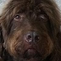 Watermark by Michael Hewes | Goodreads