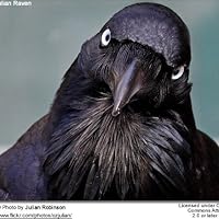 Weird Scenes Inside the Canyon: Laurel Canyon, Covert Ops & the Dark ...