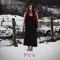 Crow Country by Mark Cocker | Goodreads